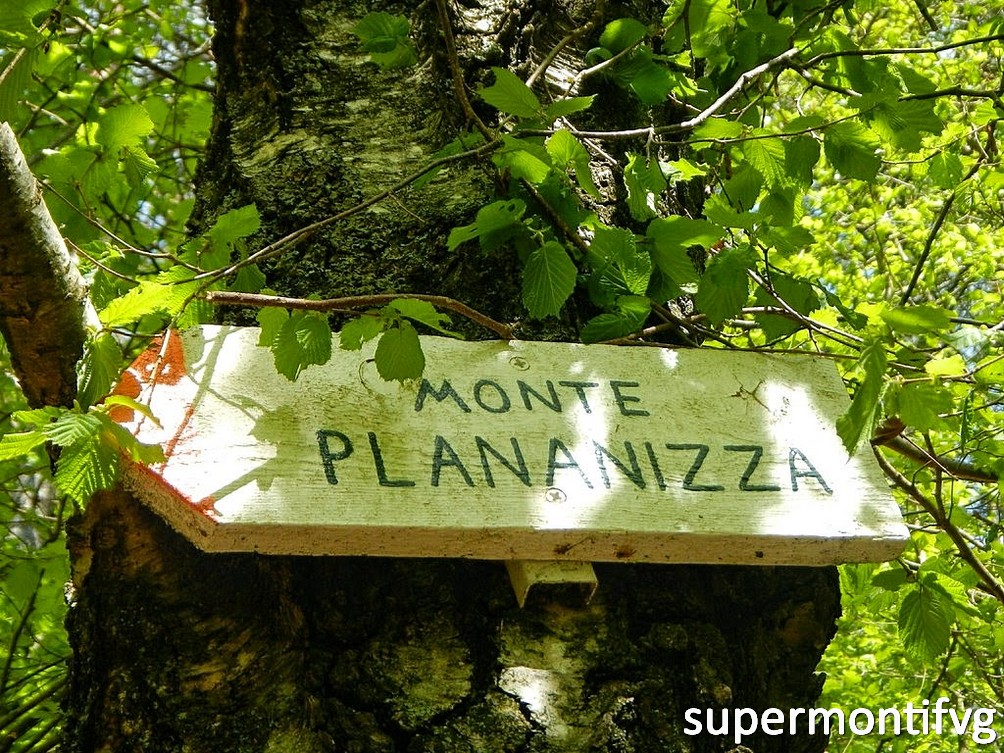 MONTE PLANANIZZA da CHIUSAFORTE – SUPERMONTIFVG