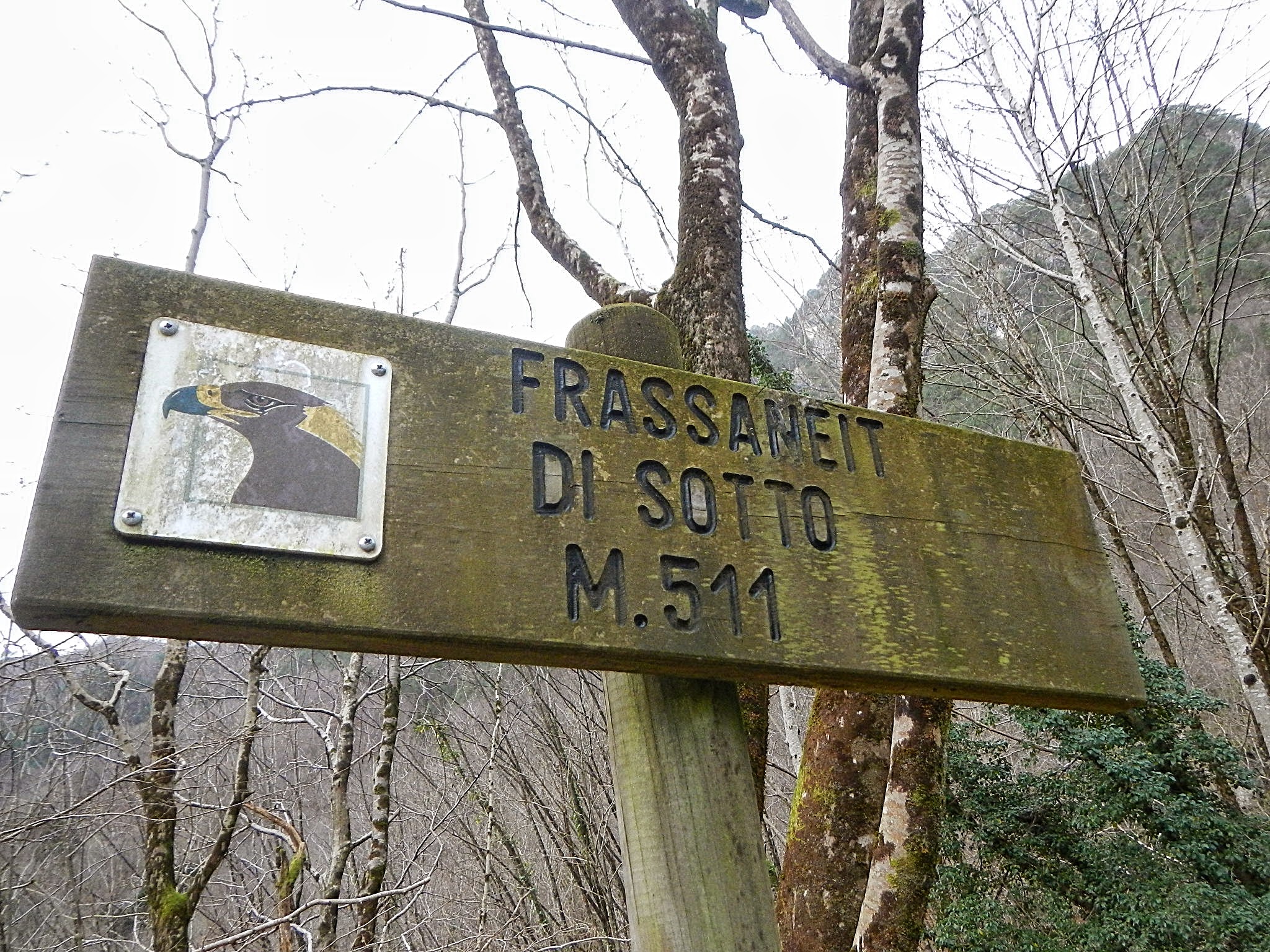 LAGO DEL CIUL da TRAMONTI DI SOPRA – SUPERMONTIFVG