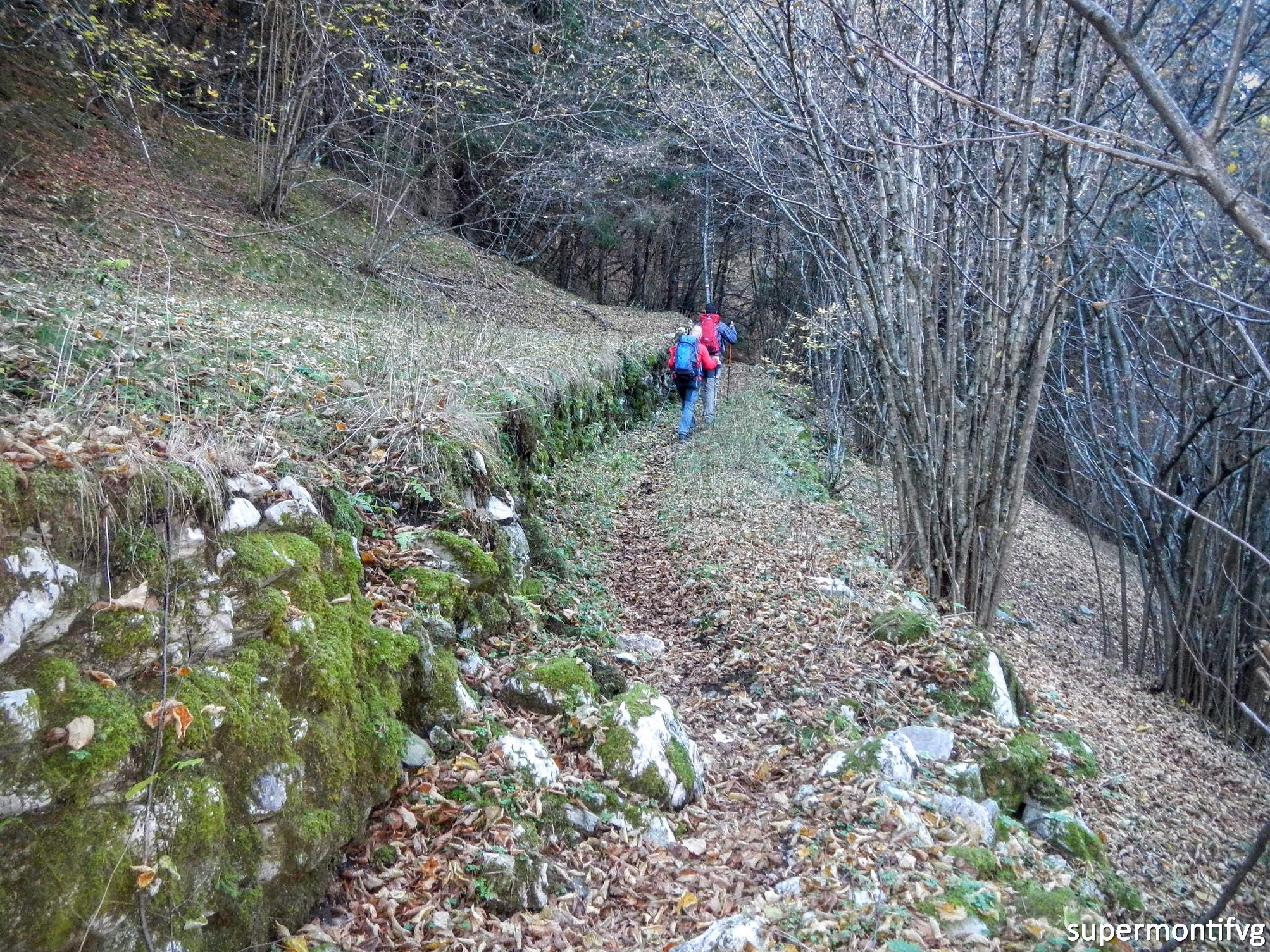MONTE TOC dalla DIGA del VAJONT – SUPERMONTIFVG