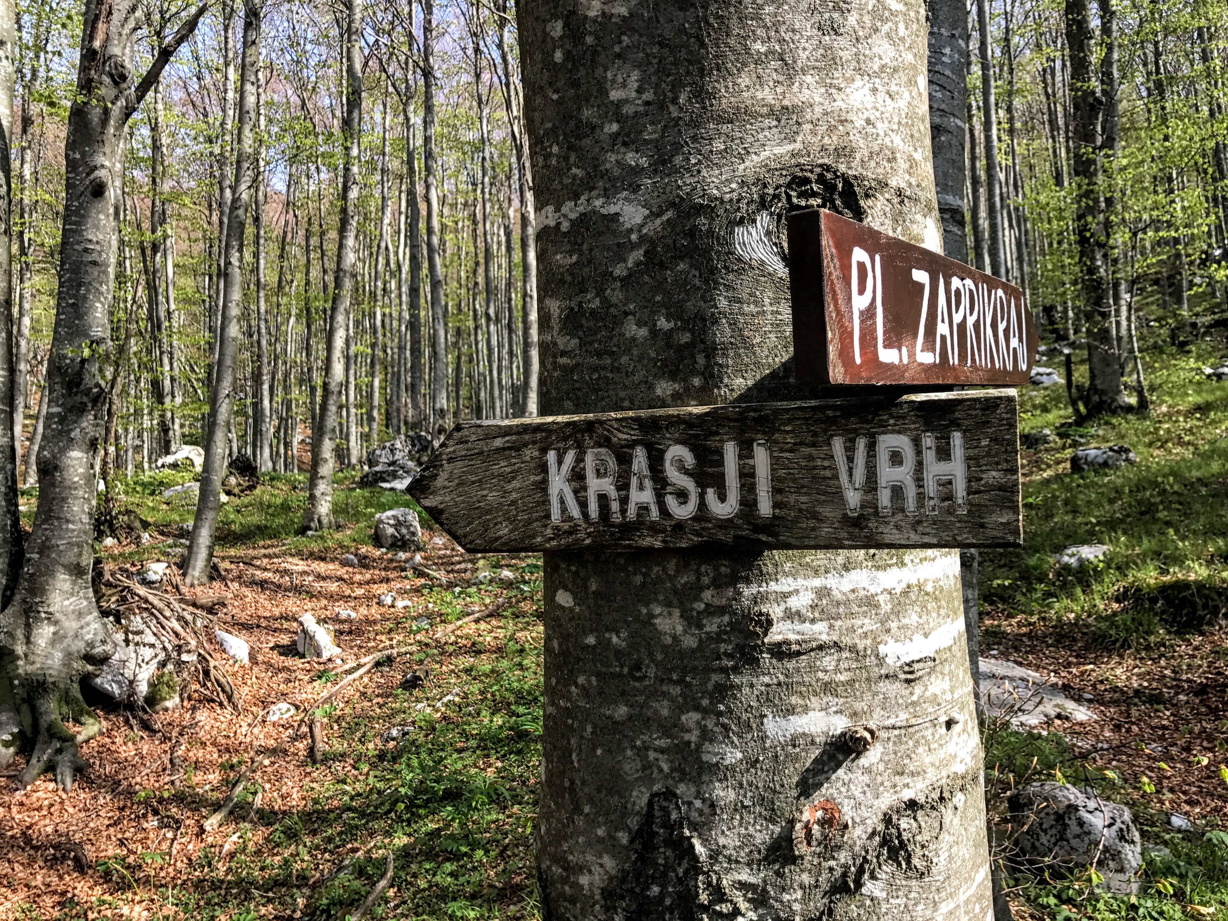 Anello del KRASJI VRH da DREŽNICA – SUPERMONTIFVG