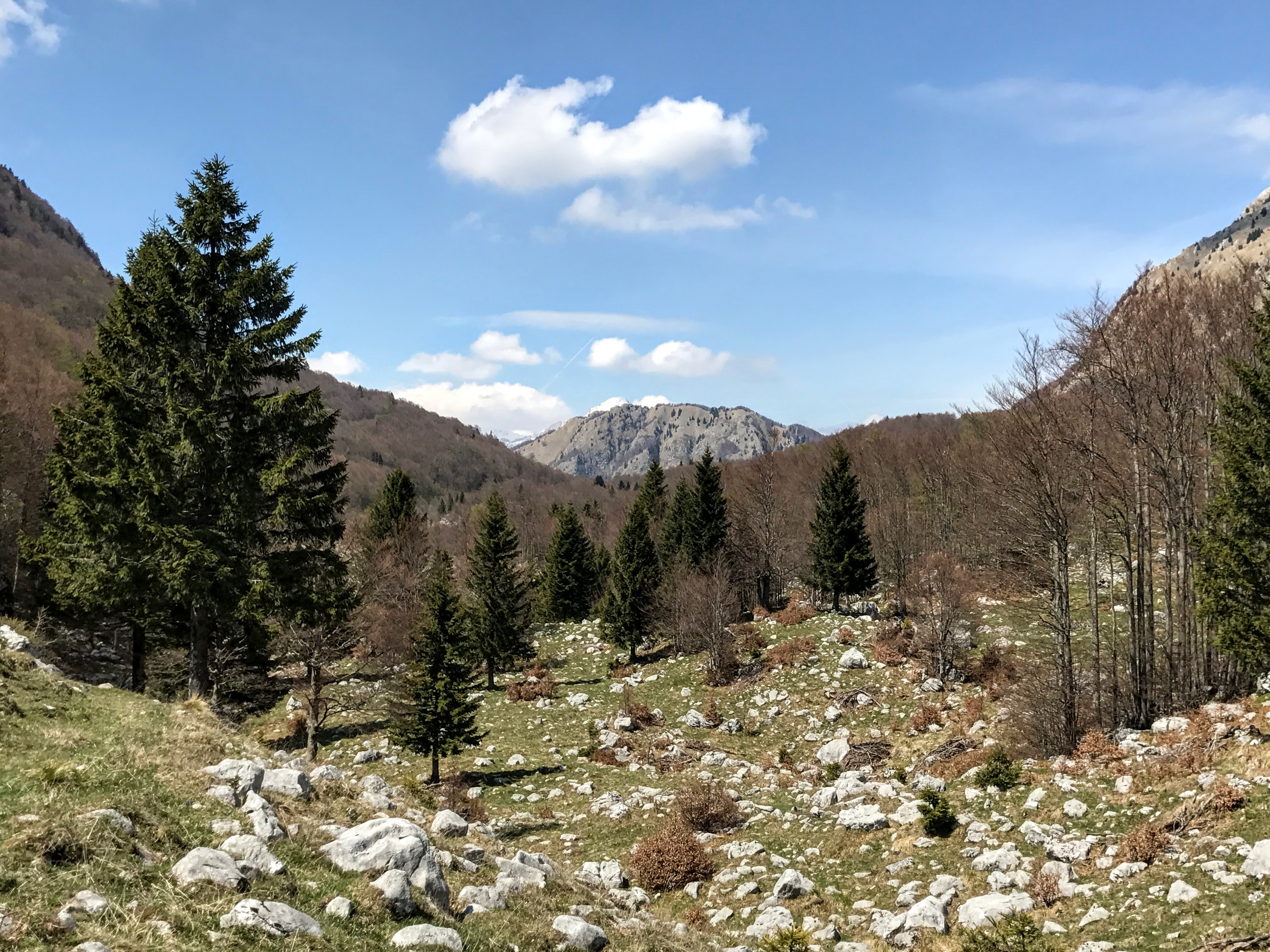 Anello del KRASJI VRH da DREŽNICA – SUPERMONTIFVG