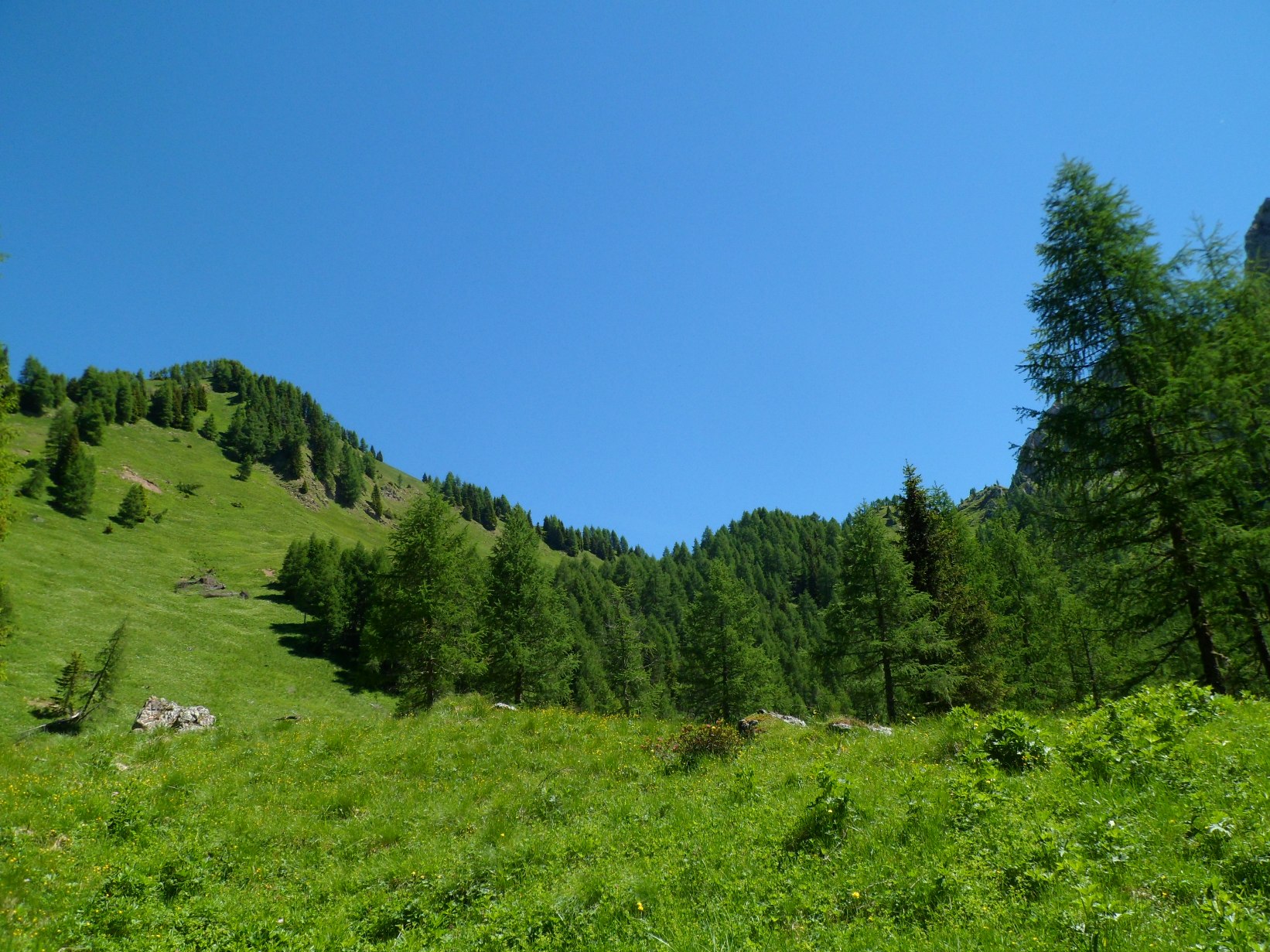 MONTE PIOVA dal PASSO DELLA MAURIA – SUPERMONTIFVG