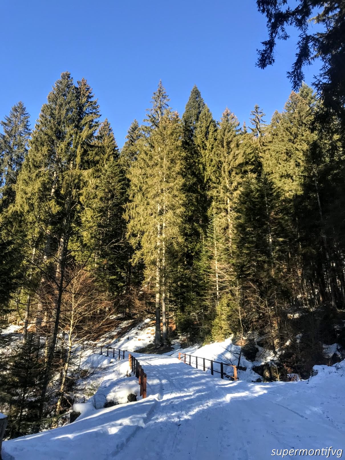 MONTE TALM da LUDARIA – SUPERMONTIFVG