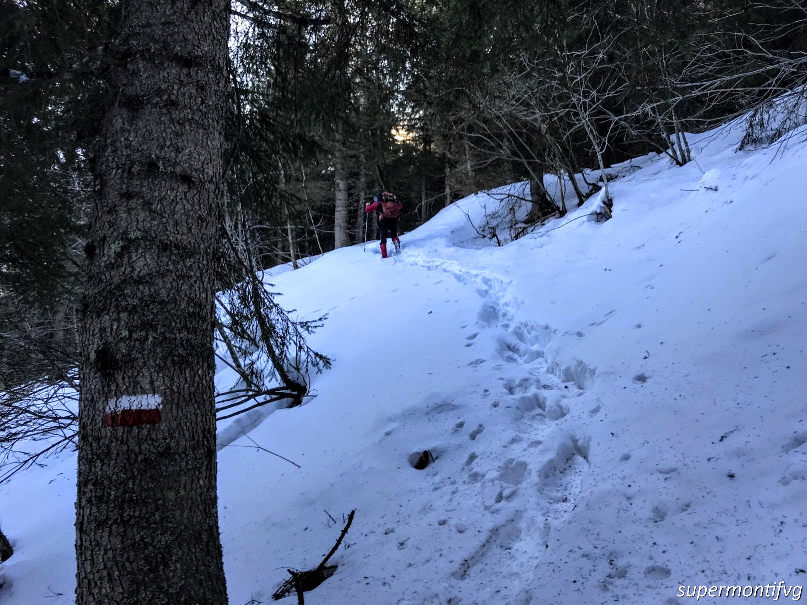 MONTE TALM da LUDARIA – SUPERMONTIFVG