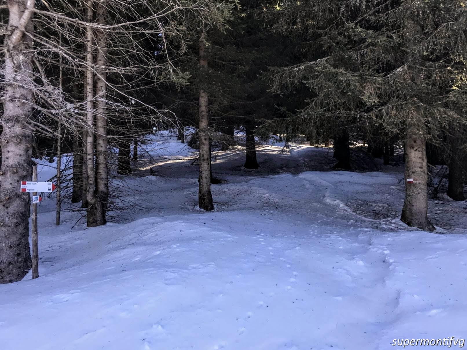 MONTE TALM da LUDARIA – SUPERMONTIFVG