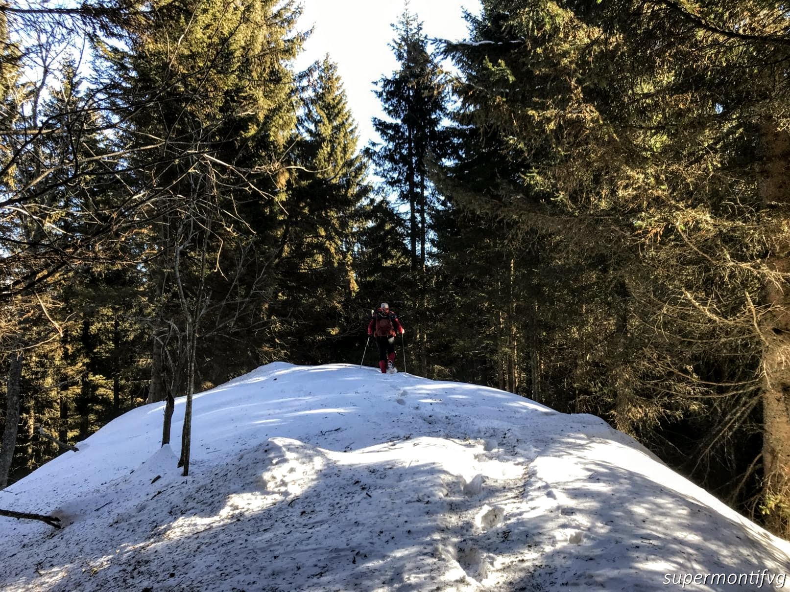 MONTE TALM da LUDARIA – SUPERMONTIFVG