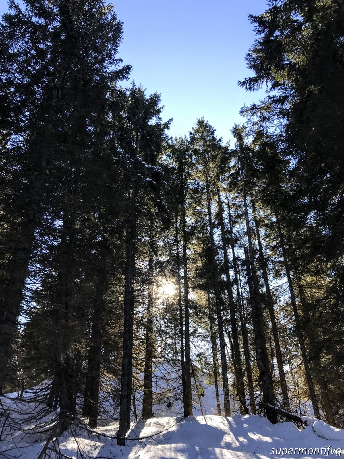 MONTE TALM da LUDARIA – SUPERMONTIFVG