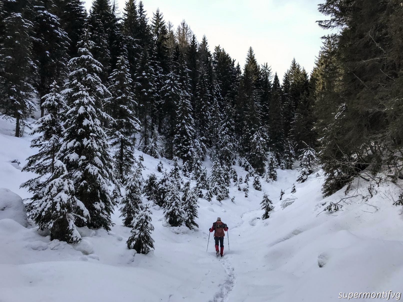 MONTE TALM da LUDARIA – SUPERMONTIFVG