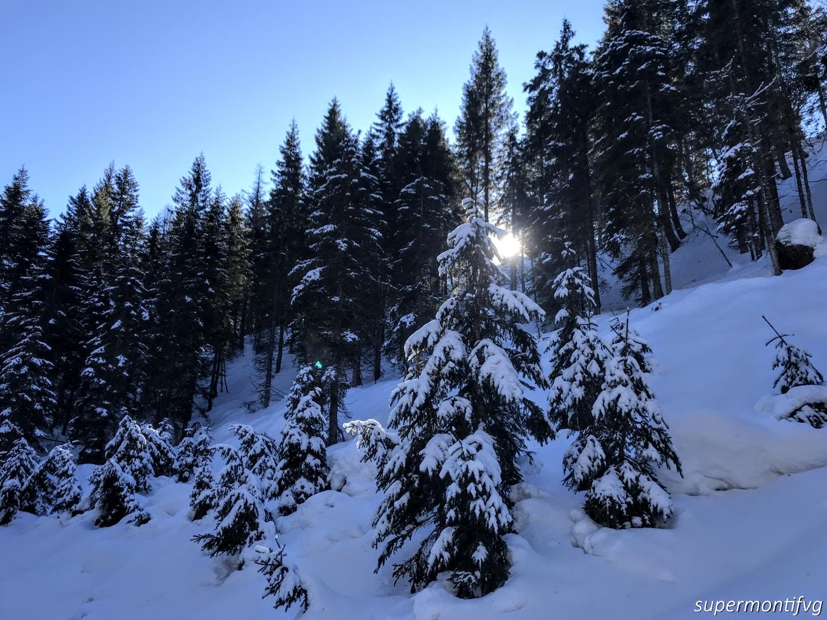 MONTE TALM da LUDARIA – SUPERMONTIFVG