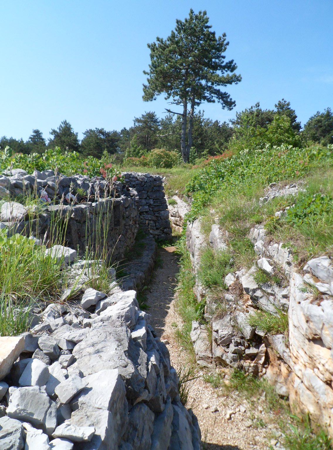 Percorso storico del MONTE BRESTOVEC – SUPERMONTIFVG