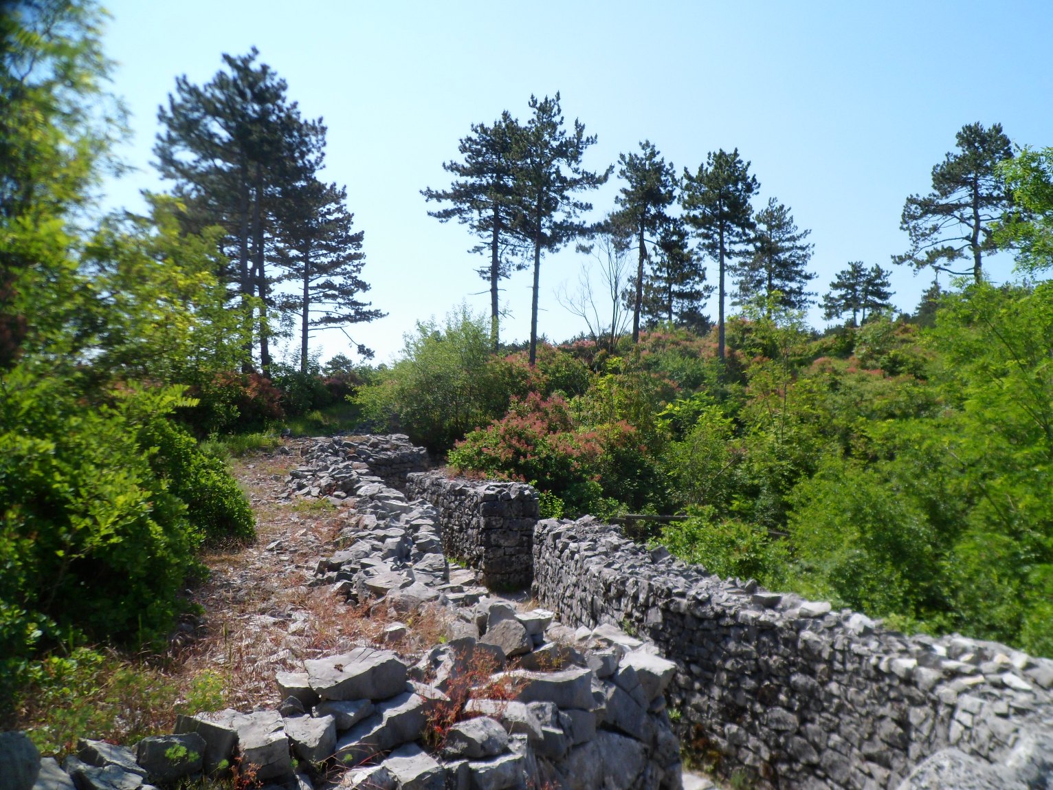 Percorso storico del MONTE BRESTOVEC – SUPERMONTIFVG
