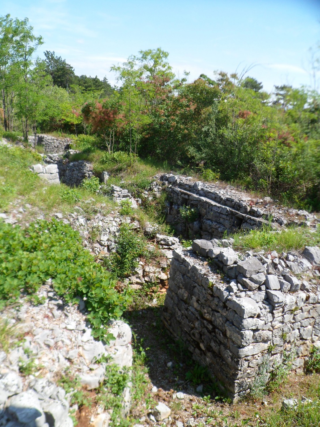 Percorso storico del MONTE BRESTOVEC – SUPERMONTIFVG