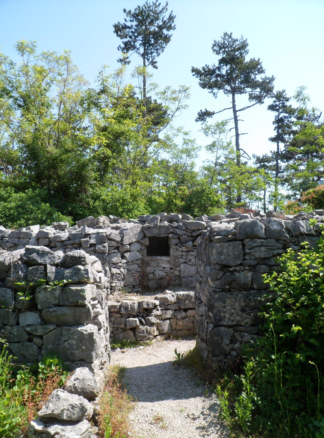 Percorso storico del MONTE BRESTOVEC – SUPERMONTIFVG