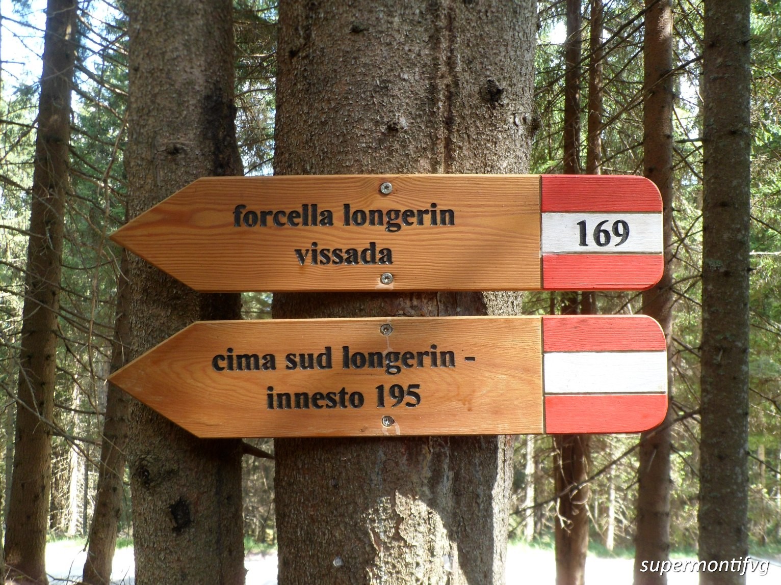 MONTE SCHIARON da FORCELLA ZOVO – SUPERMONTIFVG