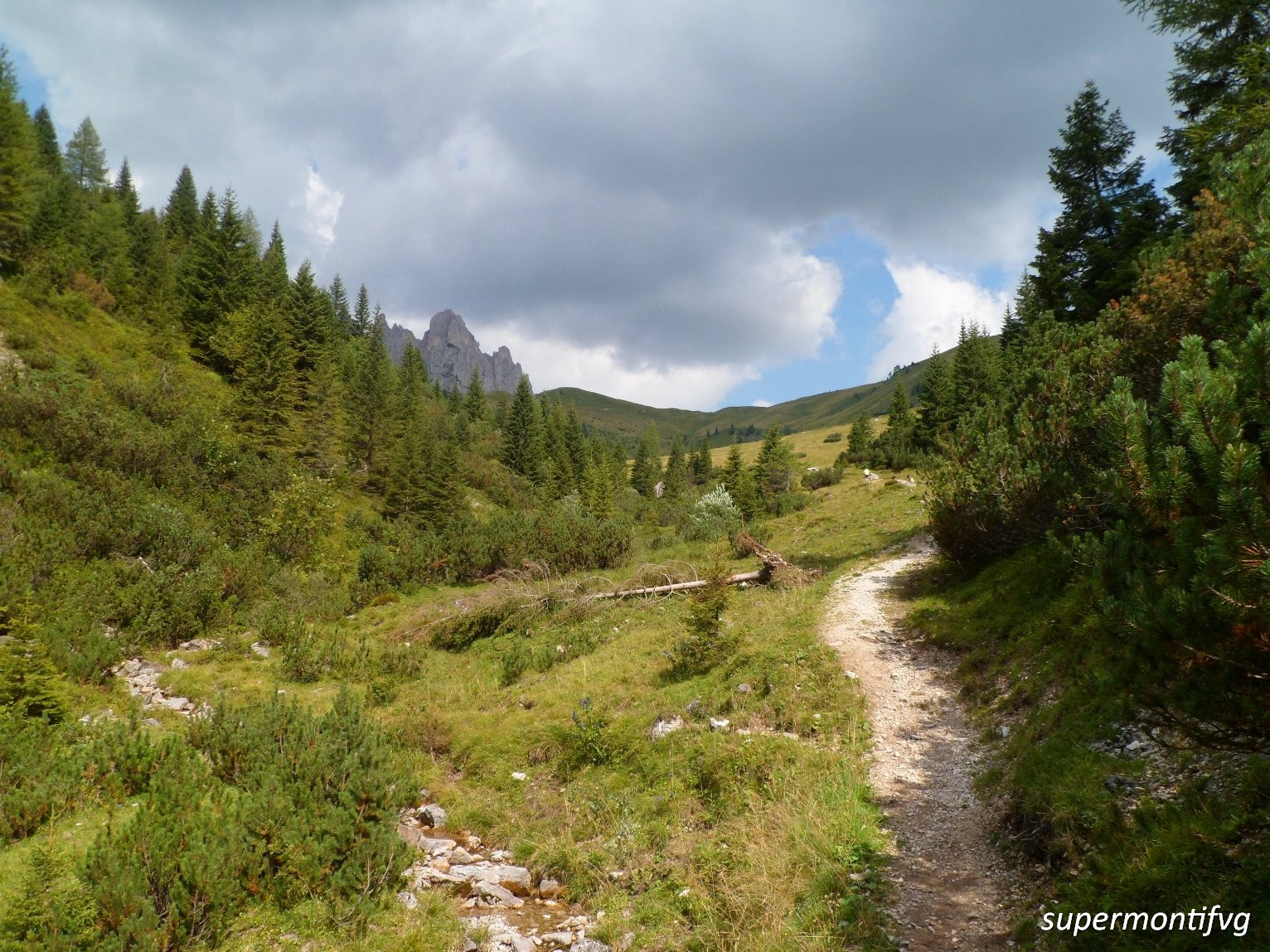 MONTE SCHIARON da FORCELLA ZOVO – SUPERMONTIFVG