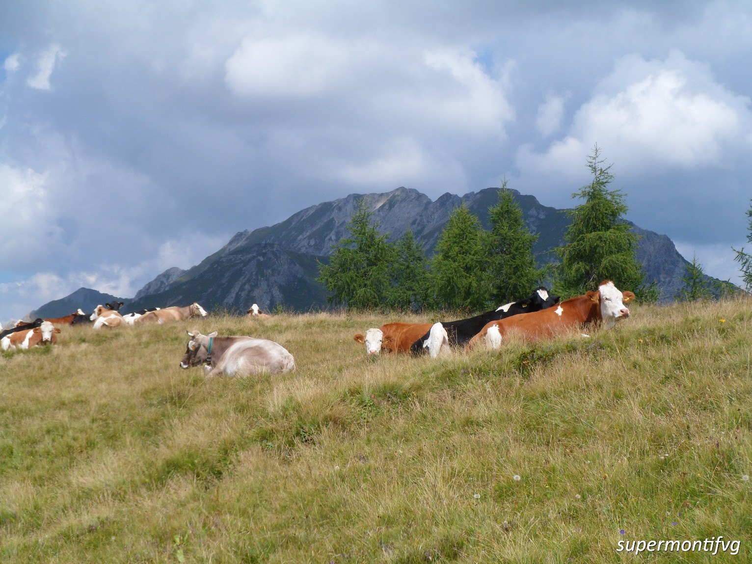 MONTE SCHIARON da FORCELLA ZOVO – SUPERMONTIFVG
