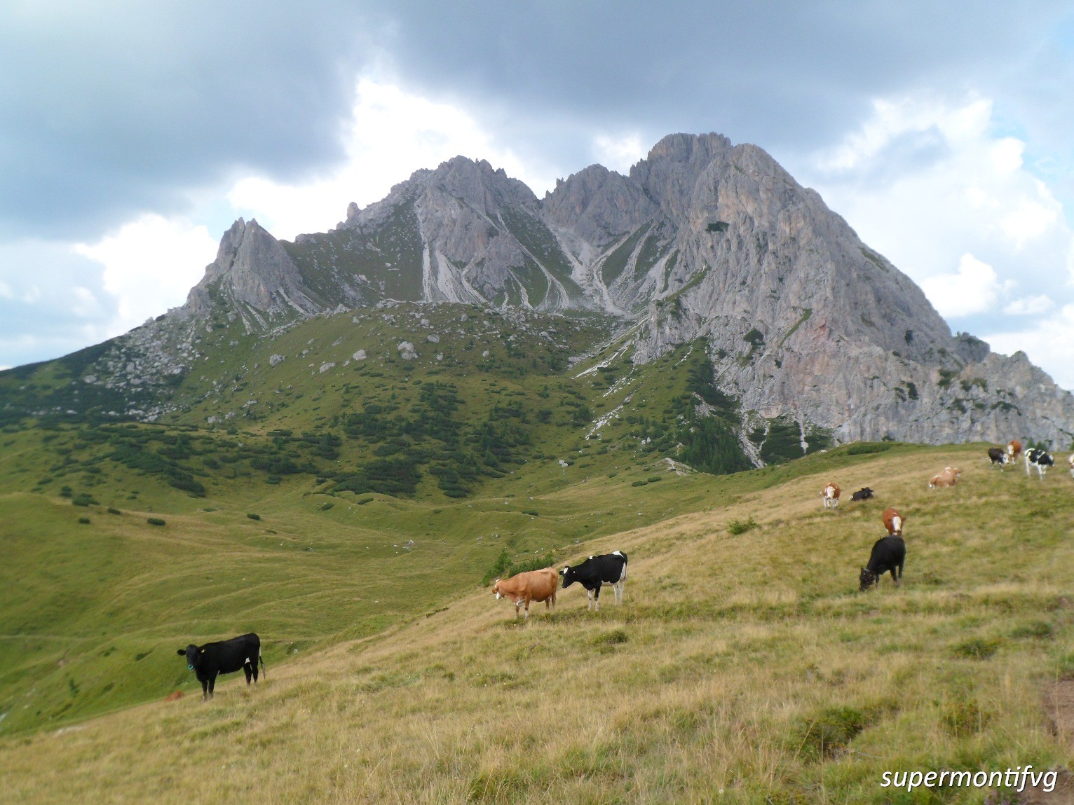 MONTE SCHIARON da FORCELLA ZOVO – SUPERMONTIFVG