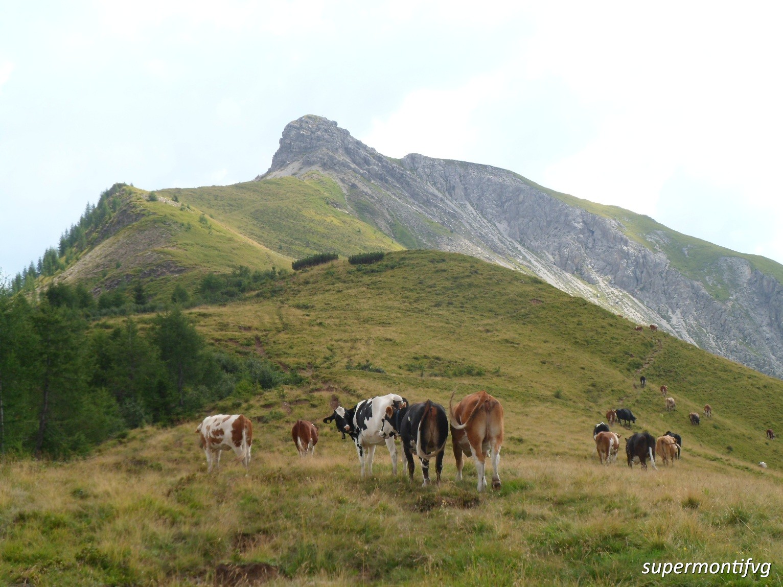 MONTE SCHIARON da FORCELLA ZOVO – SUPERMONTIFVG