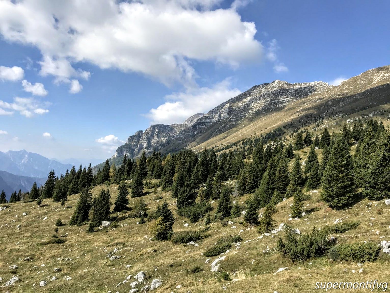 MONTE ZABUS DAI PIANI DEL MONTASIO – SUPERMONTIFVG