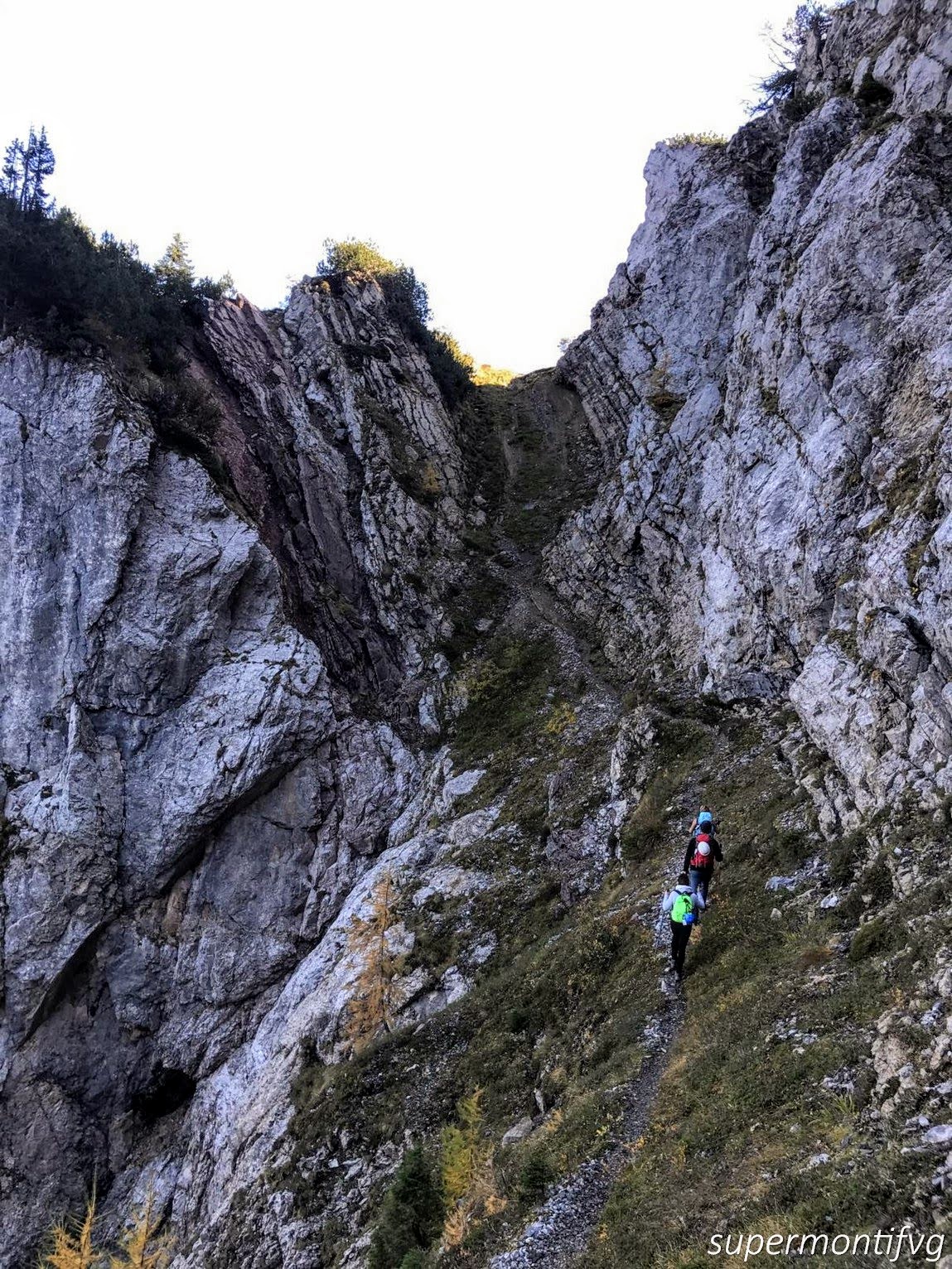 MONTE TINISA DALLA STRADA PER PASSO PURA – SUPERMONTIFVG