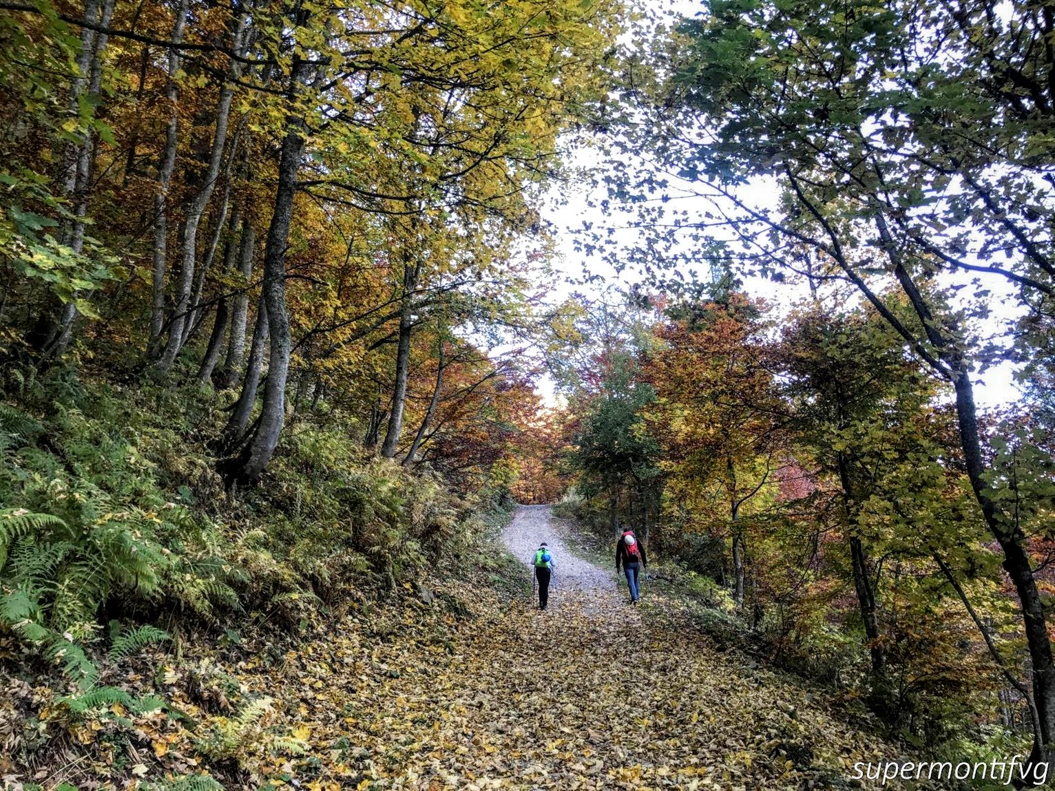 MONTE TINISA DALLA STRADA PER PASSO PURA – SUPERMONTIFVG