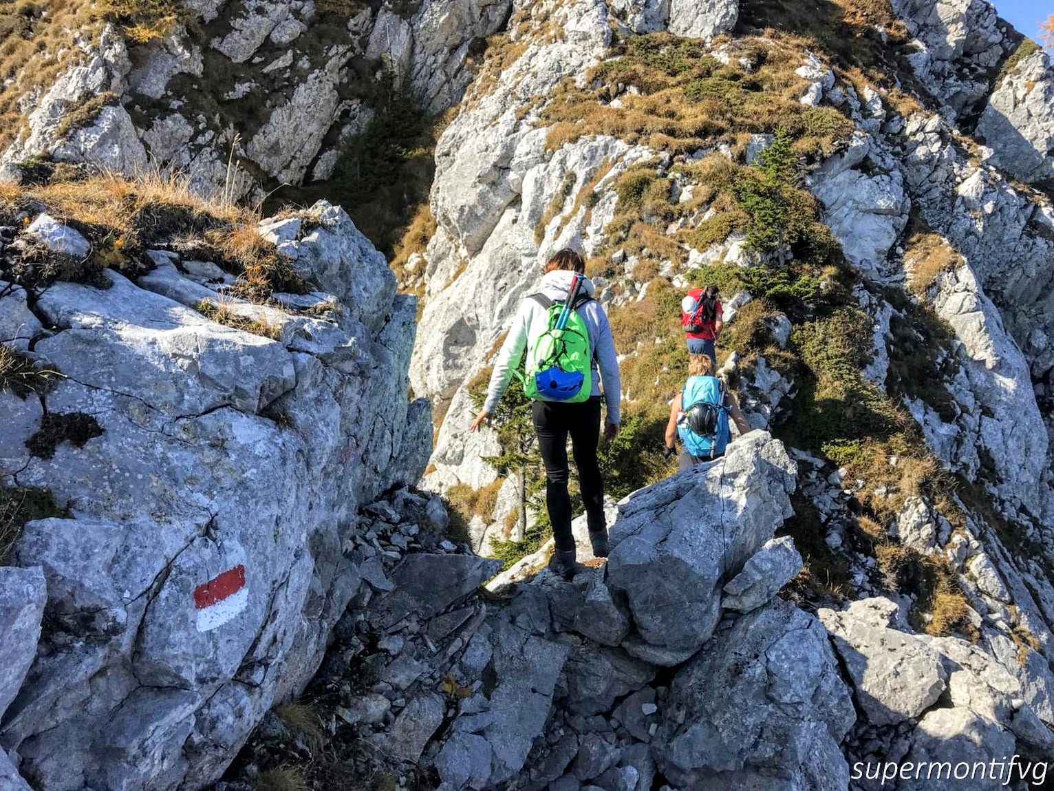 MONTE TINISA DALLA STRADA PER PASSO PURA – SUPERMONTIFVG