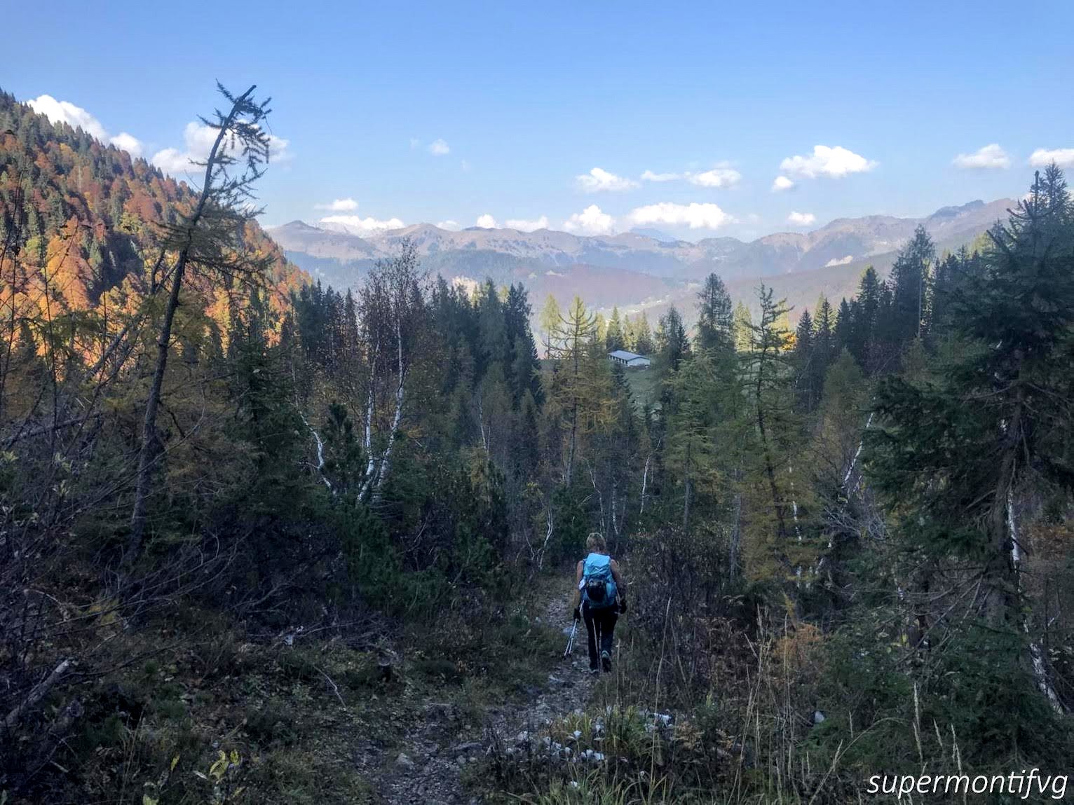 MONTE TINISA DALLA STRADA PER PASSO PURA – SUPERMONTIFVG