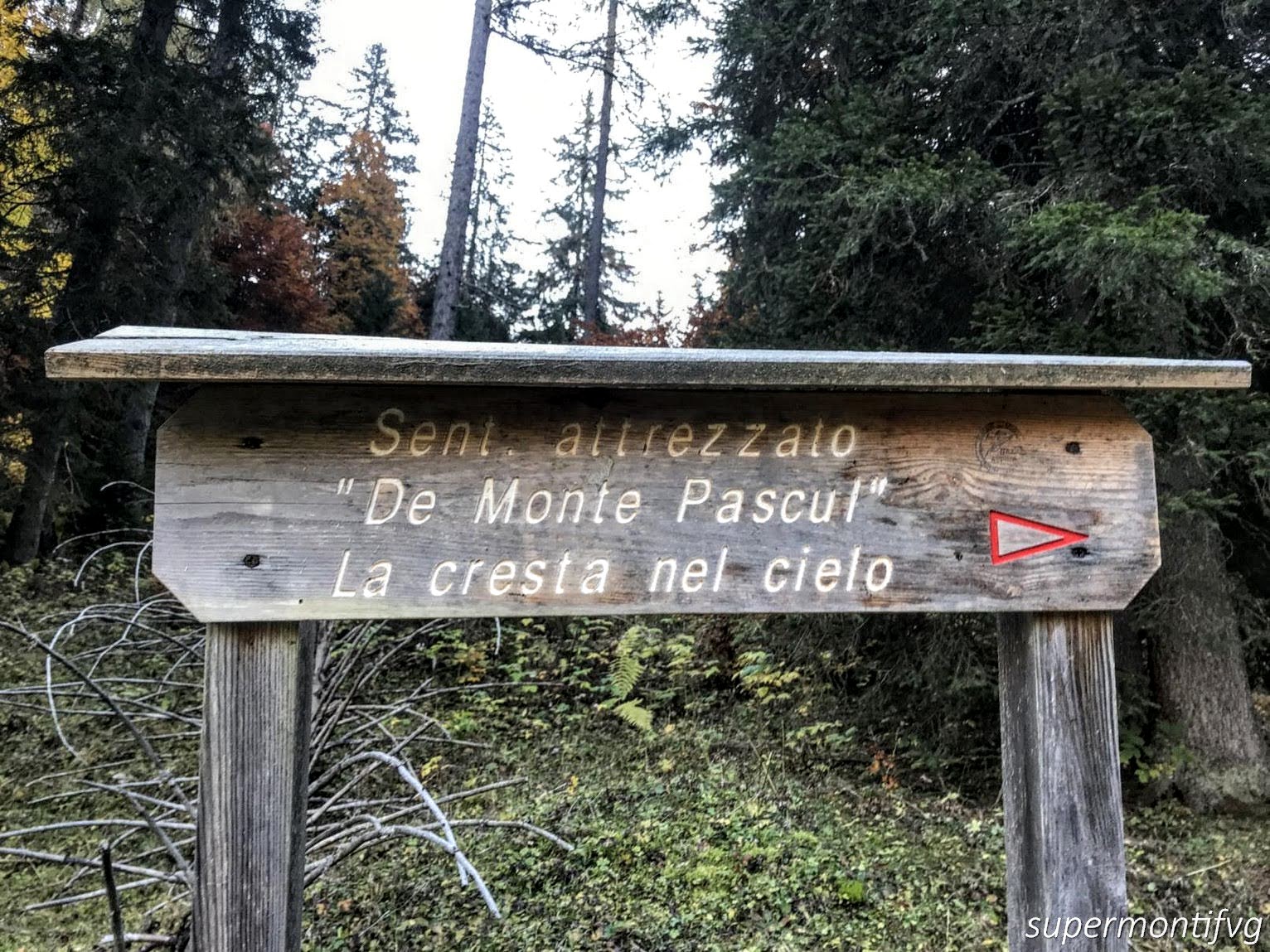 MONTE TINISA DALLA STRADA PER PASSO PURA – SUPERMONTIFVG