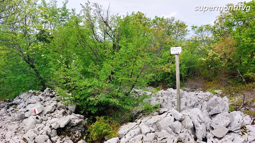 Anello del MONTE SAMBUCO da SAN PELAGIO – SUPERMONTIFVG