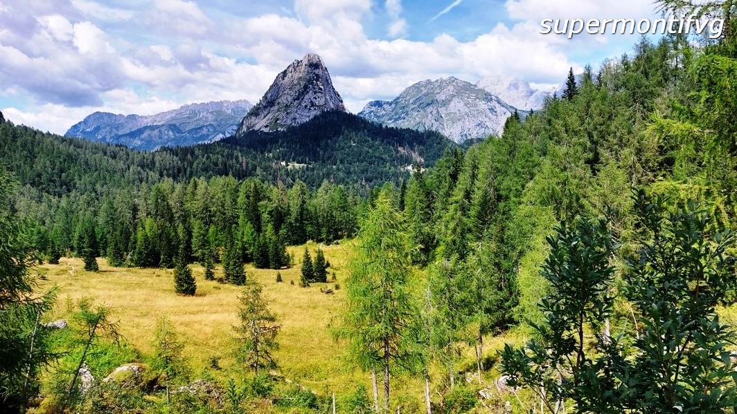 Anello di MALGA TUGLIA e del RIFUGIO CHIAMPIZZULON dai PIANI DI VAS ...